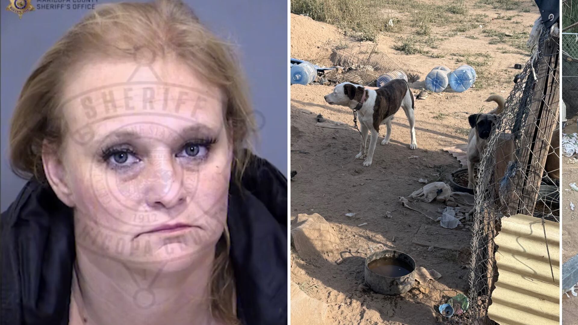 Court papers detail animal-abuse case near Buckeye; nearly two dozen ...