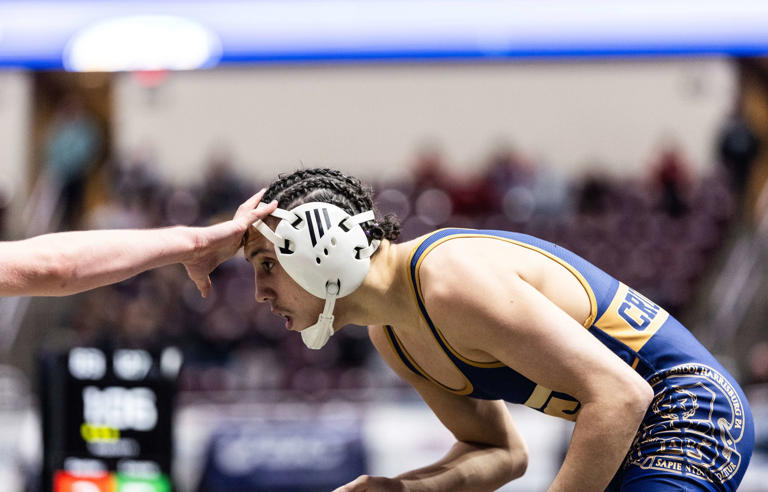 PIAA wrestling championships 2026: McDevitt places 8 in Class 2A ...