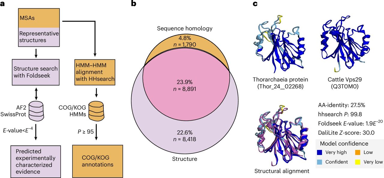 Microbial ancestor of complex life was more sophisticated than ...