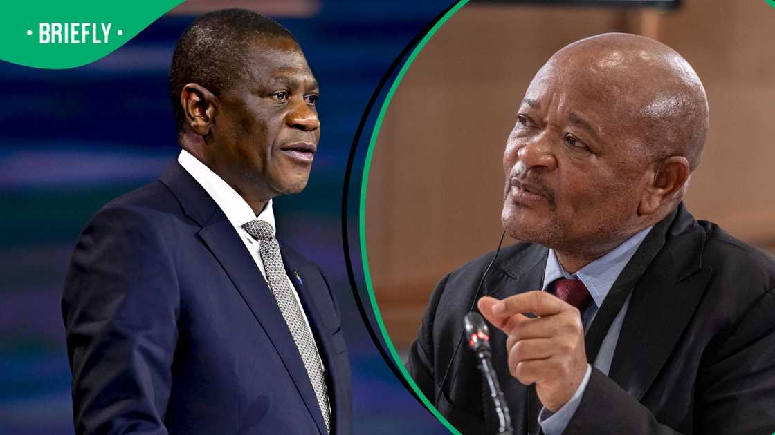 Paul Mashatile denies that Senzo Mchunu is being shielded, South ...