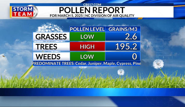 North Carolina’s pollen trifecta and when to expect the yellow wave to ...