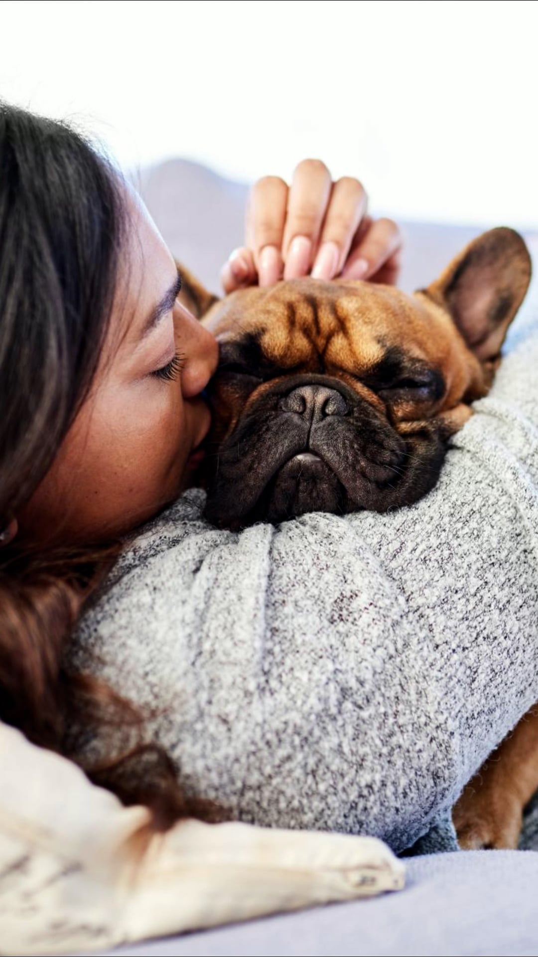 Petting your dog may be altering your home’s air
