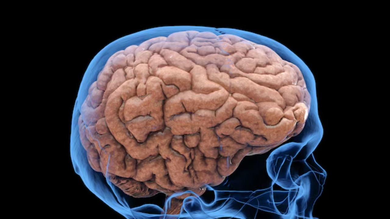 Your brain can be rewired: New science of neuroplasticity