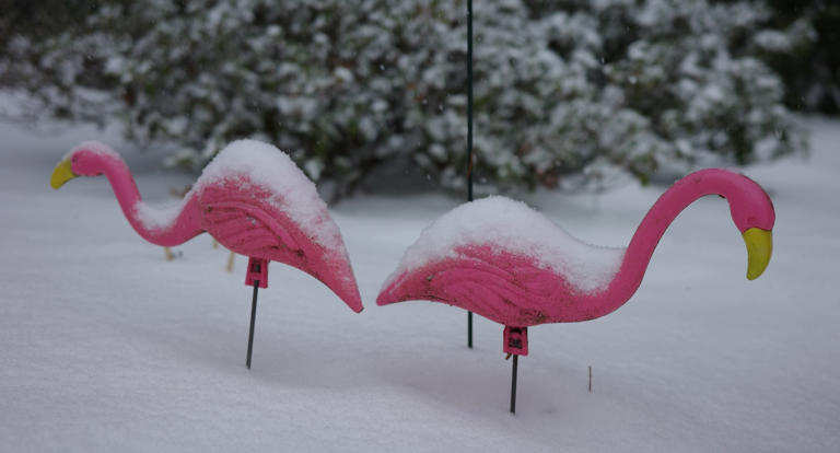 Could Portland get snow next week?