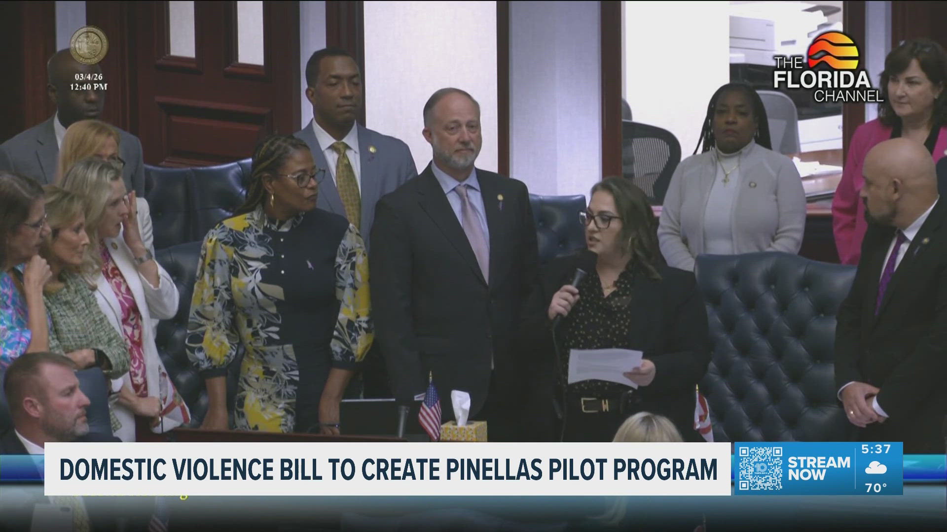 Florida House unanimously passes domestic violence reform bill creating ...