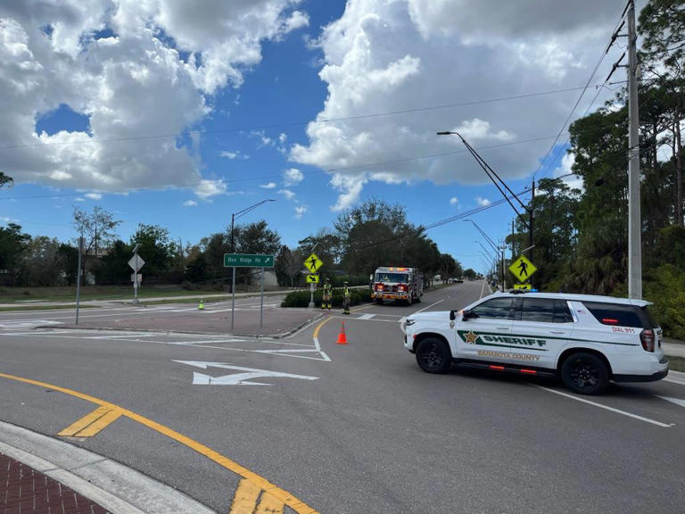 Bee Ridge Road reopened after downed wires