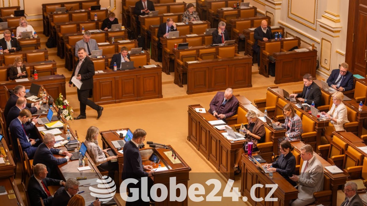 Strach ze spravedlnosti vyhrál. Babiš a Okamura nebudou vydání ke ...