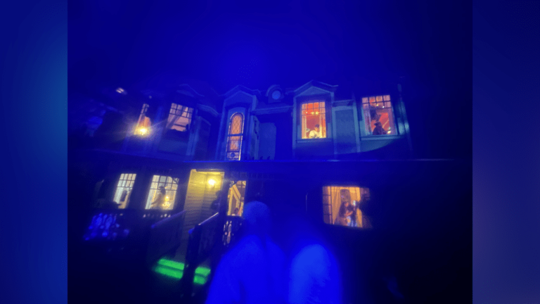 Ten years of weird: Meow Wolf Santa Fe reflects on growth, change, and ...