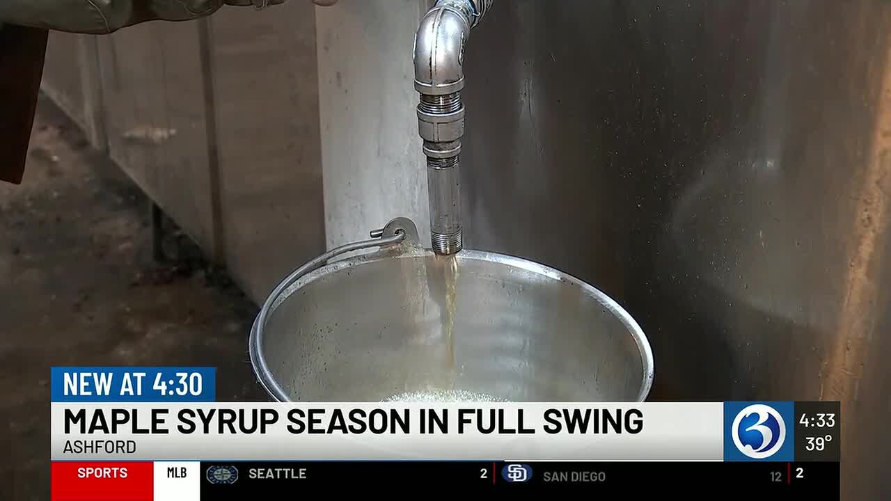 Maple syrup season underway in Connecticut, but warm weather could cut ...