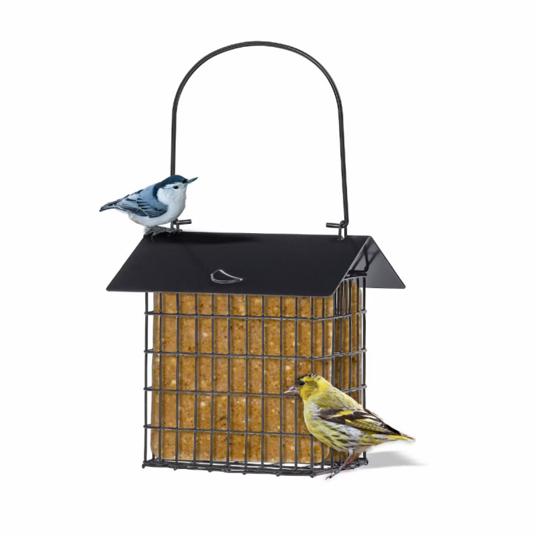 Target offers stylish and easy-to-fill double suet bird feeder for $15