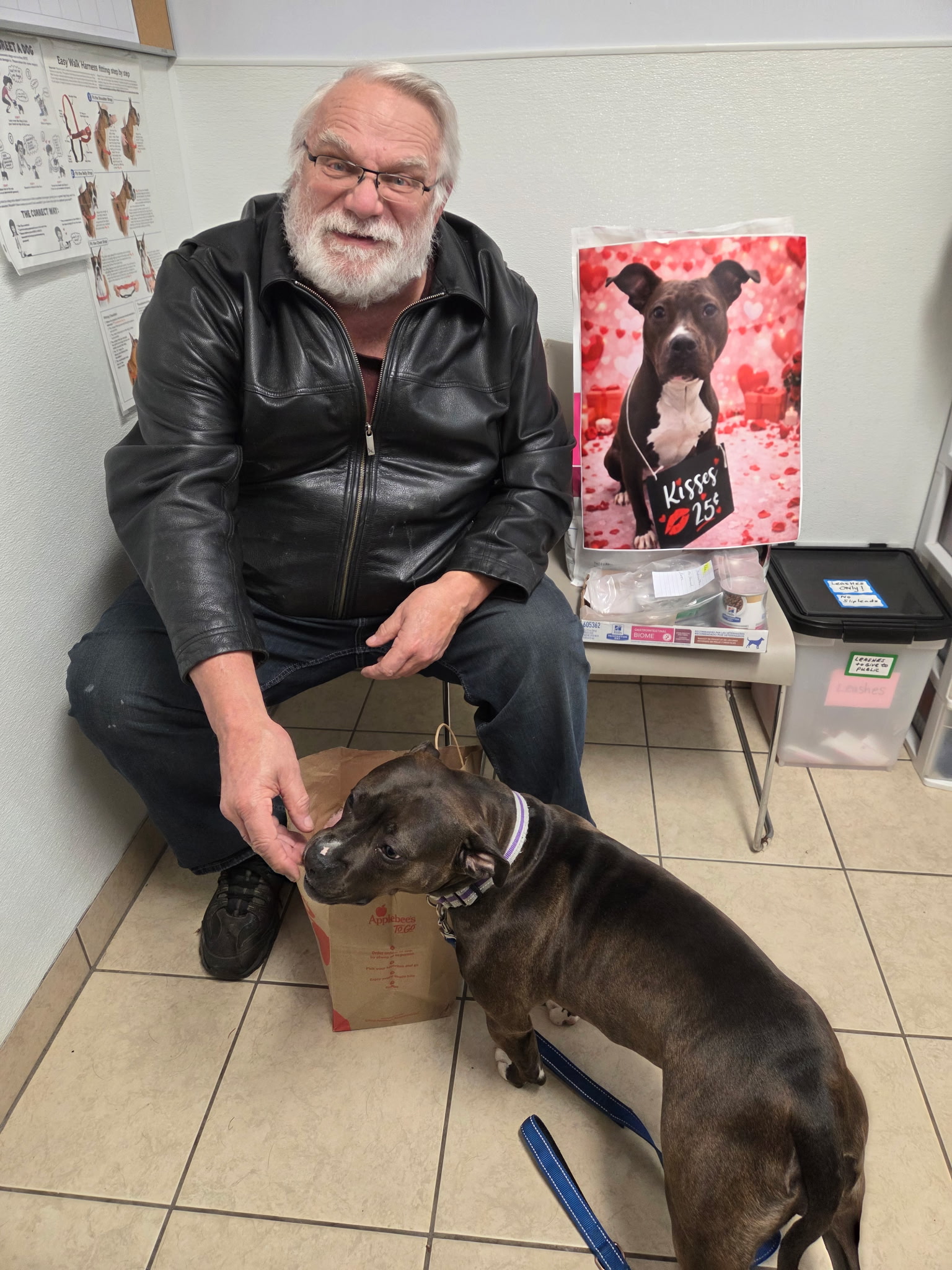 Bonita finally adopted after more than 200 days at Parma Animal Shelter