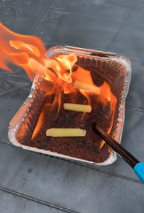 Say goodbye to bugs forever with this ultimate trick