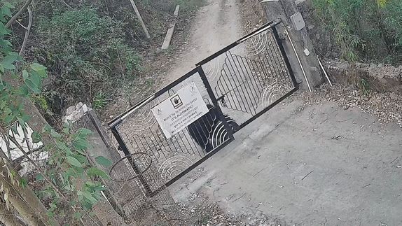 CCTV captures clever bear opening security gate and entering property