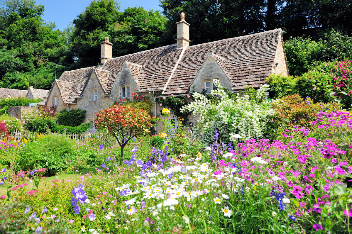 These are the 8 low-maintenance cottage garden plants recommended by ...