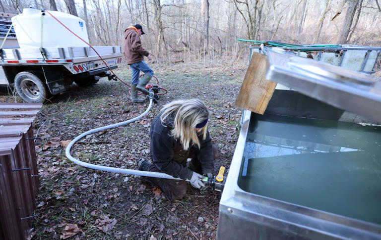 Ohio couple turns maple syrup into family labor of love (photos)