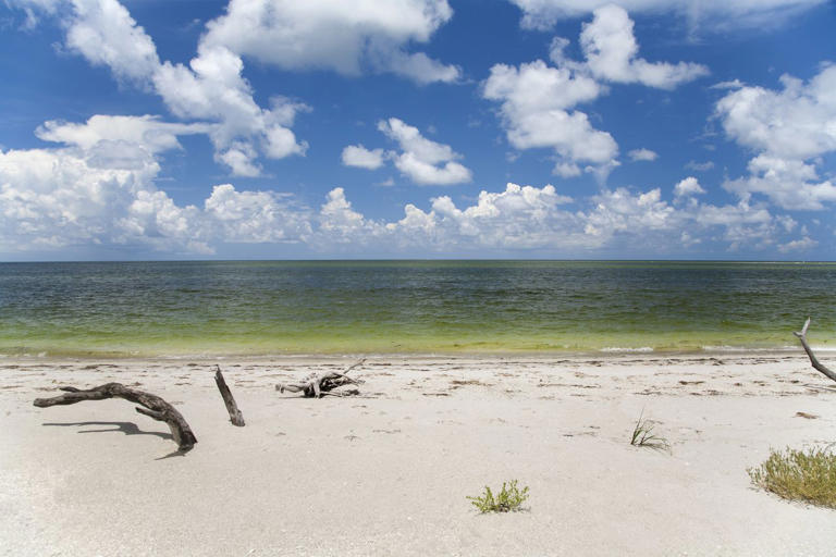 This 112-acre car-free Florida island is rumored to have inspired Jimmy ...