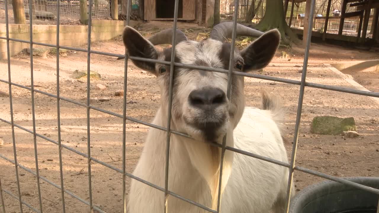 Yellow River Wildlife Sanctuary warns nearby 280-home project risks ...
