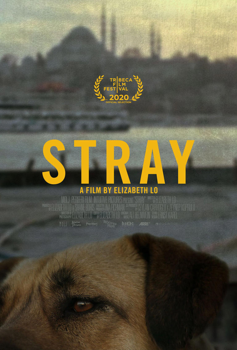 Elizabeth Lo on her Oscar-shortlisted film about China’s ‘mistress ...