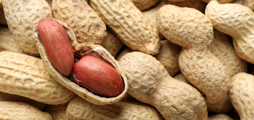 Is peanut good for cholesterol and heart health?