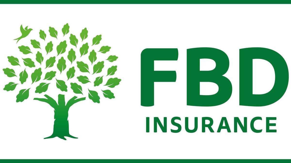 Impact of Storm Éowyn sees FBD profits fall by 30%