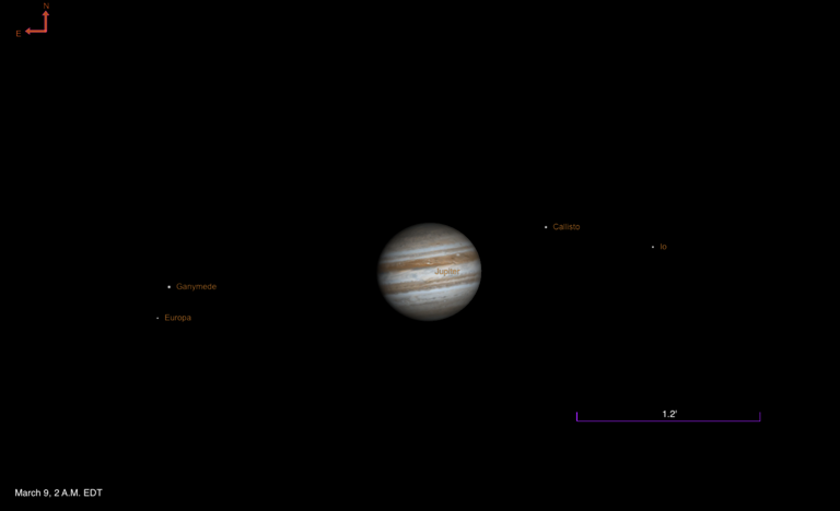 The sky today on Sunday, March 8: Spiral galaxy NGC 2541