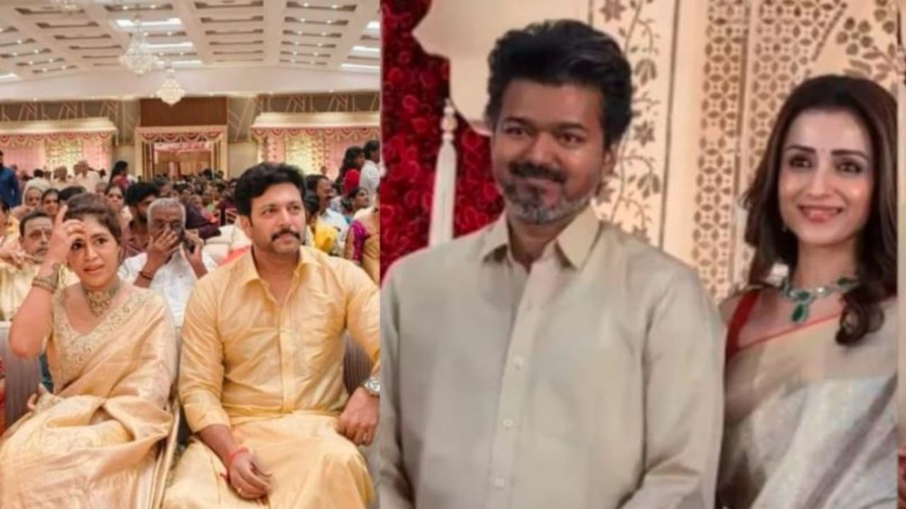 Amid affair buzz, Thalapathy Vijay–Trisha wedding entry compared with ...