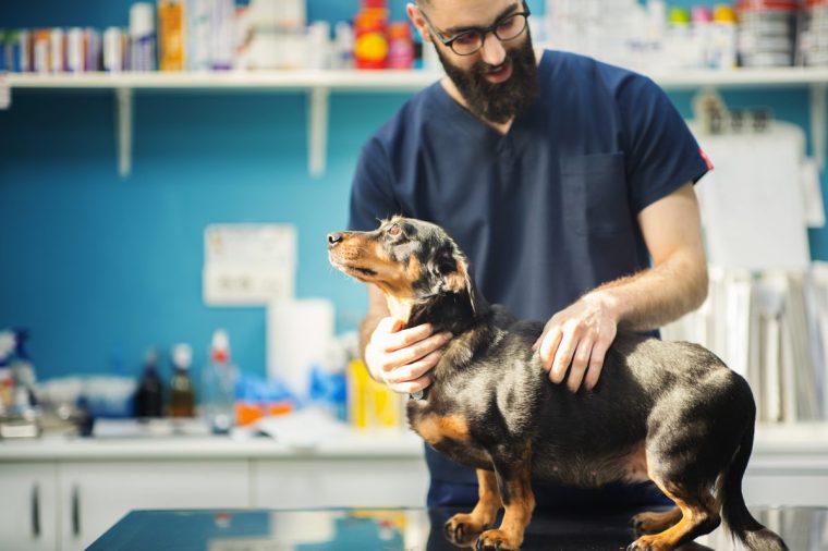 Dog owners are the most selfish people on the planet