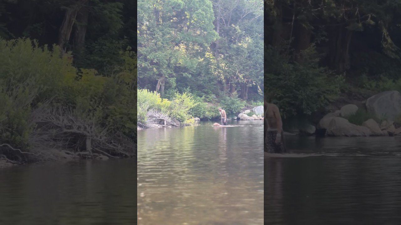 Massive pit bull enjoys a refreshing mountain river swim