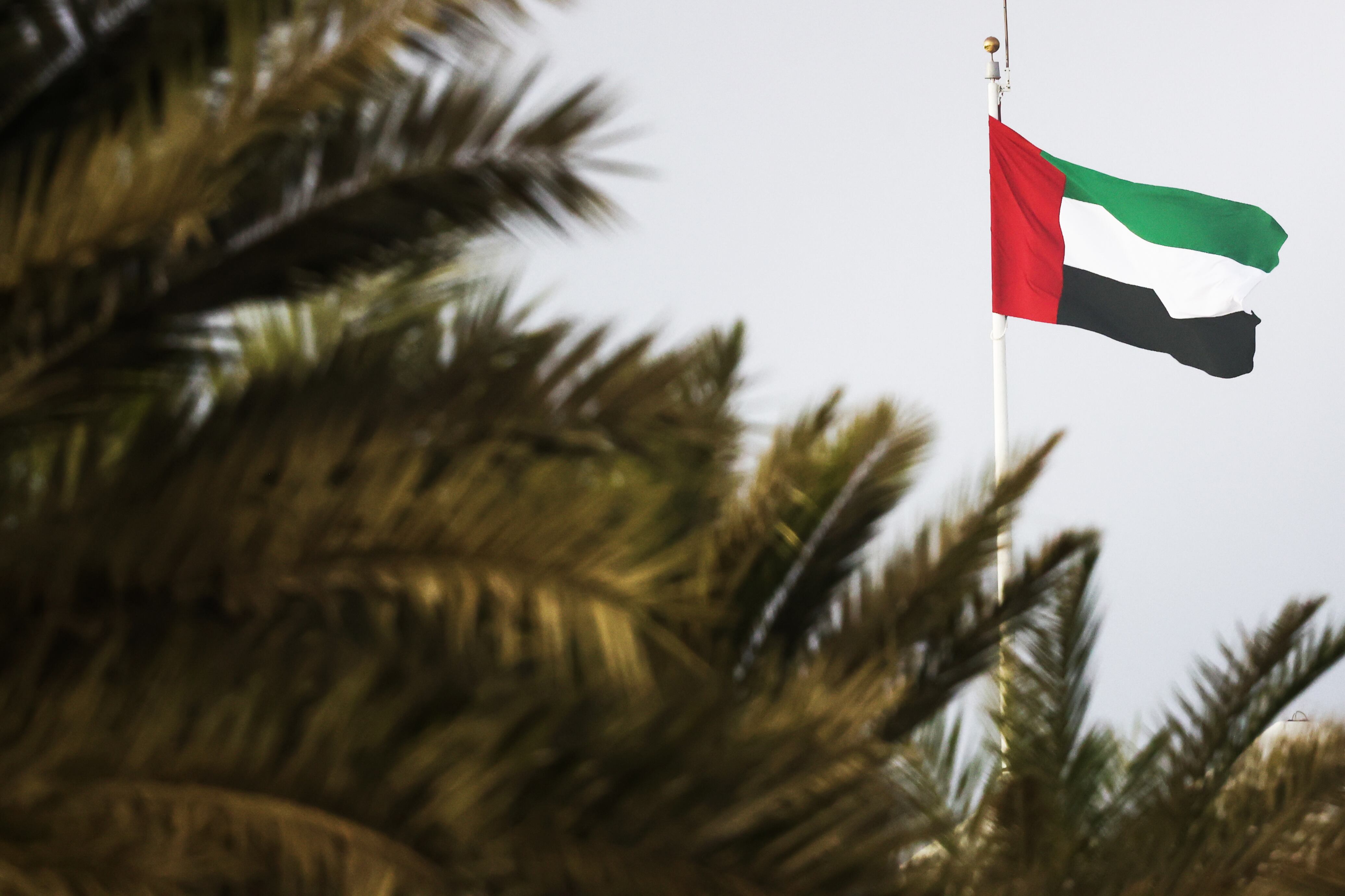 UAE destroys another nine ballistic missiles and 109 drones launched by ...