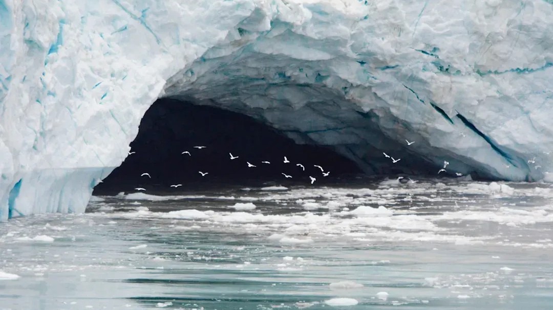 The 6 ocean zones marine scientists say are changing the fastest