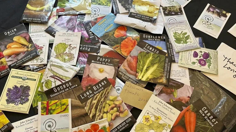 A glossary for confident indoor seed planting