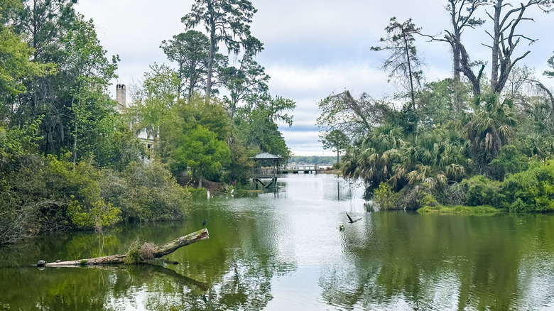 Charleston's top day trips for a quick adventure