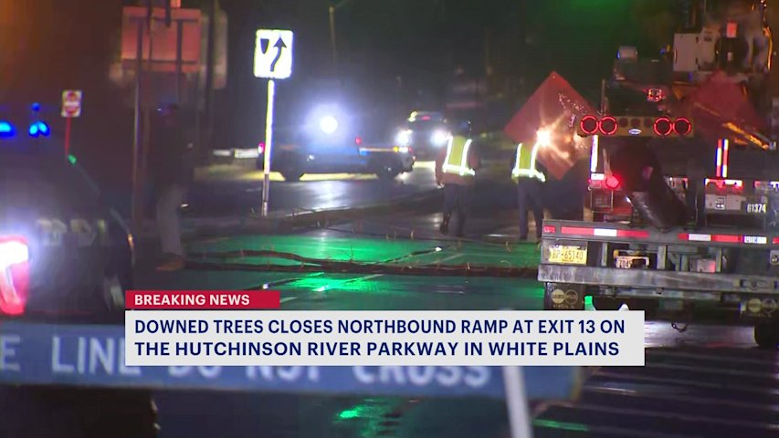 Downed trees and wires close Mamaroneck Ave. and exit ramp from Hutch ...