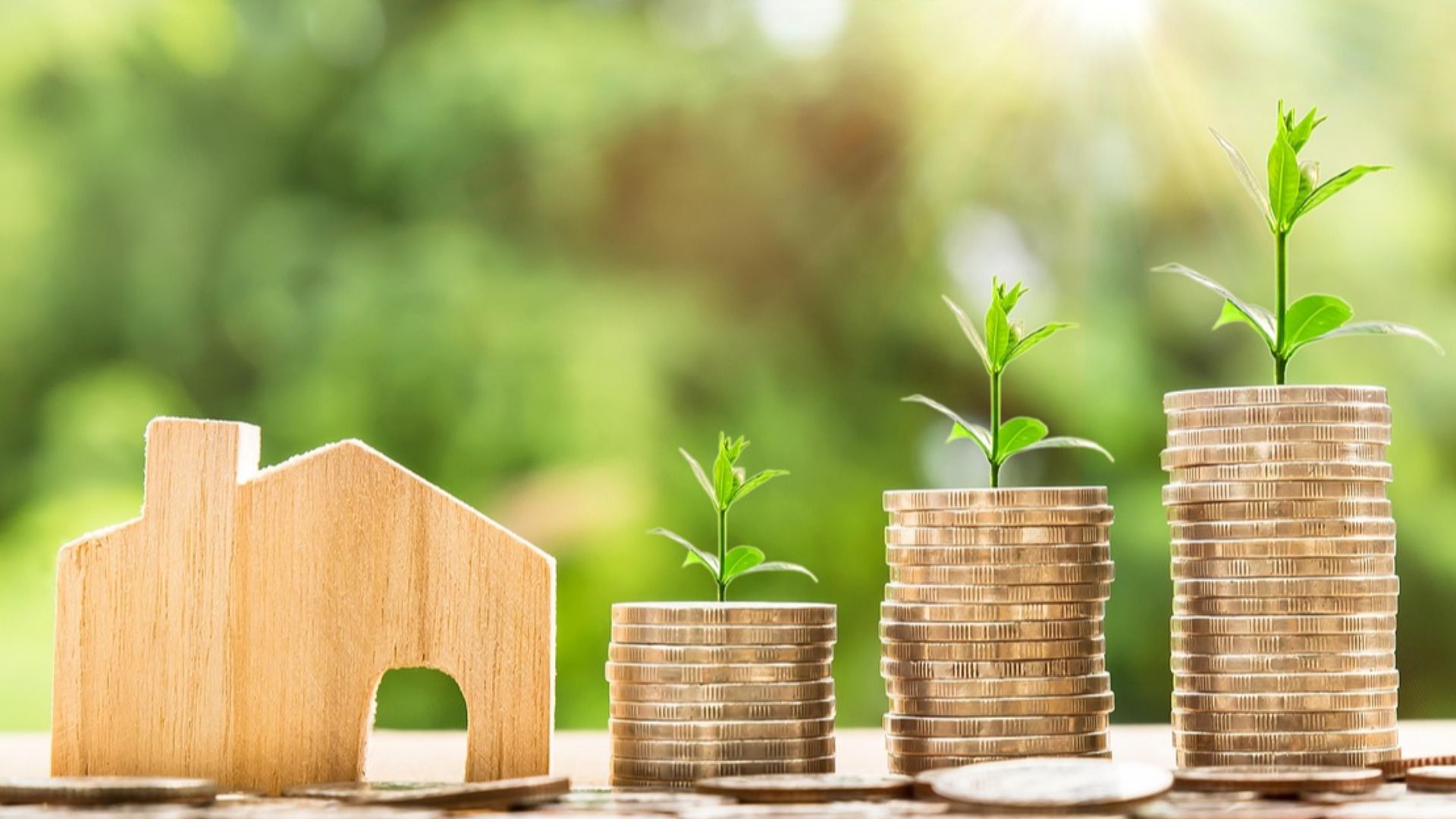 I’m sick and tired of hearing my grandkids whine about how the system ...