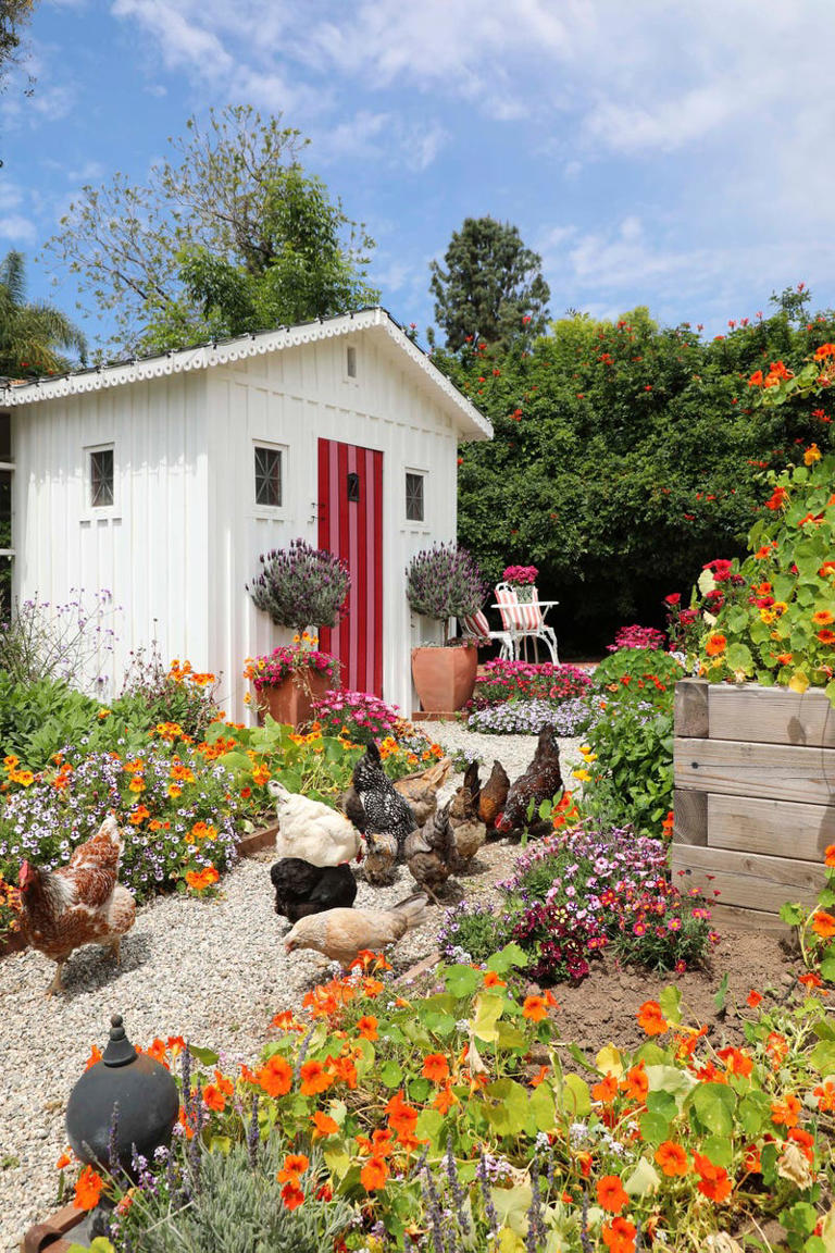 This high-style chicken coop has us wanting to move in ASAP