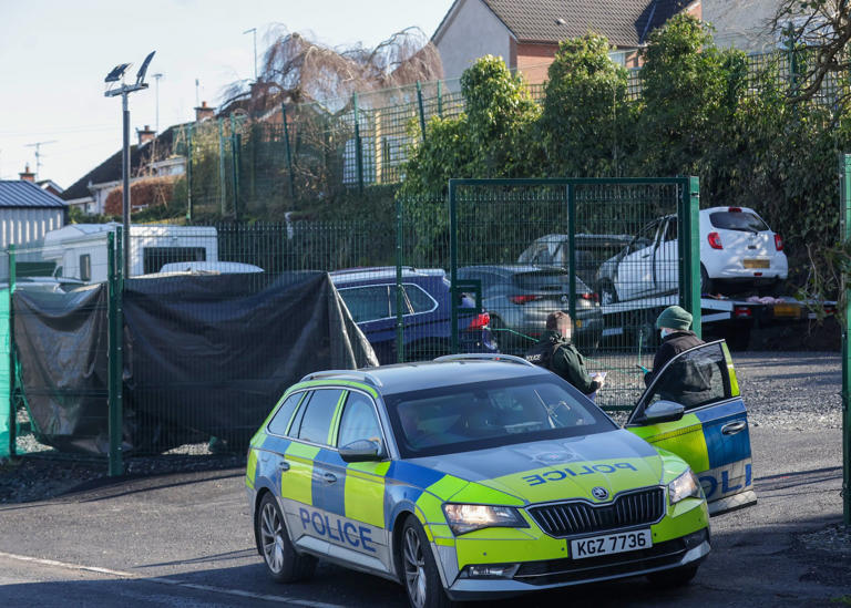 Cars damaged as dealership targeted in arson attack