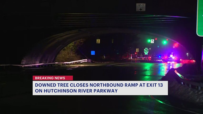 Downed tree and wires close Mamaroneck Ave. and exit ramp from Hutch in ...