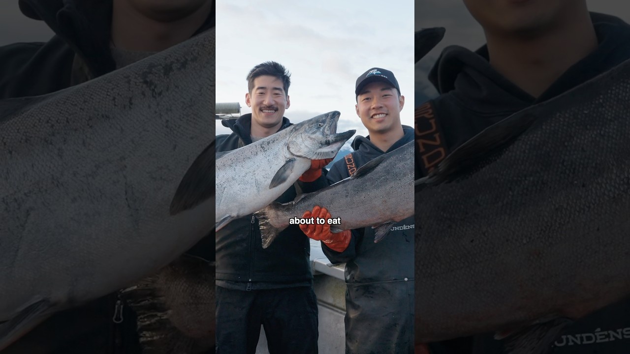 Wild Alaskan king salmon crudo