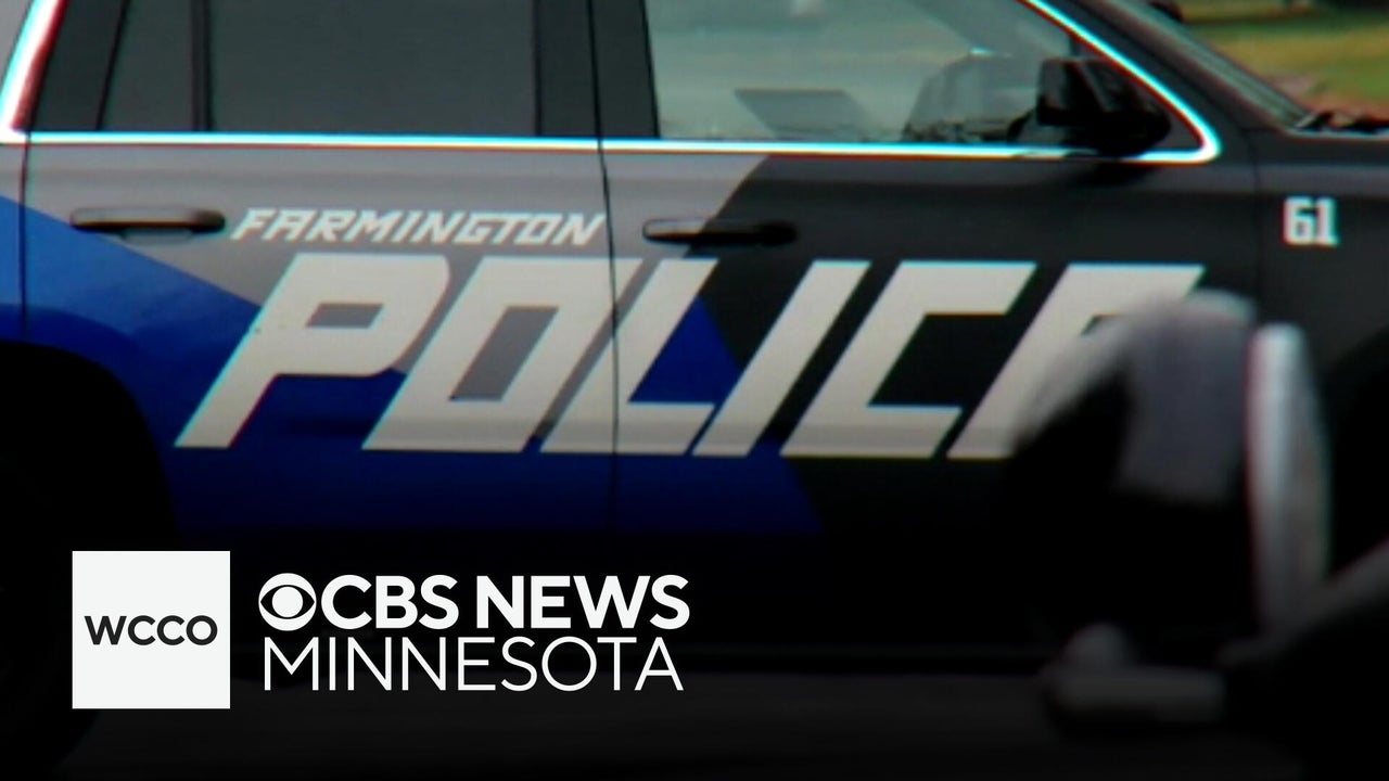 Woman fighting for her life after crash with police officer in Minnesota
