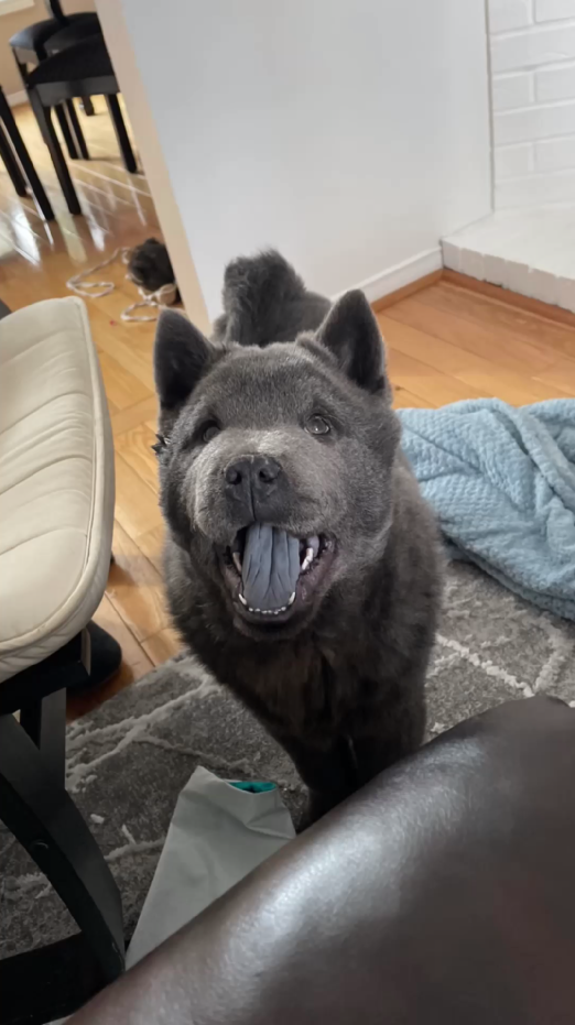 The comfort of sharing dinner time with dad today