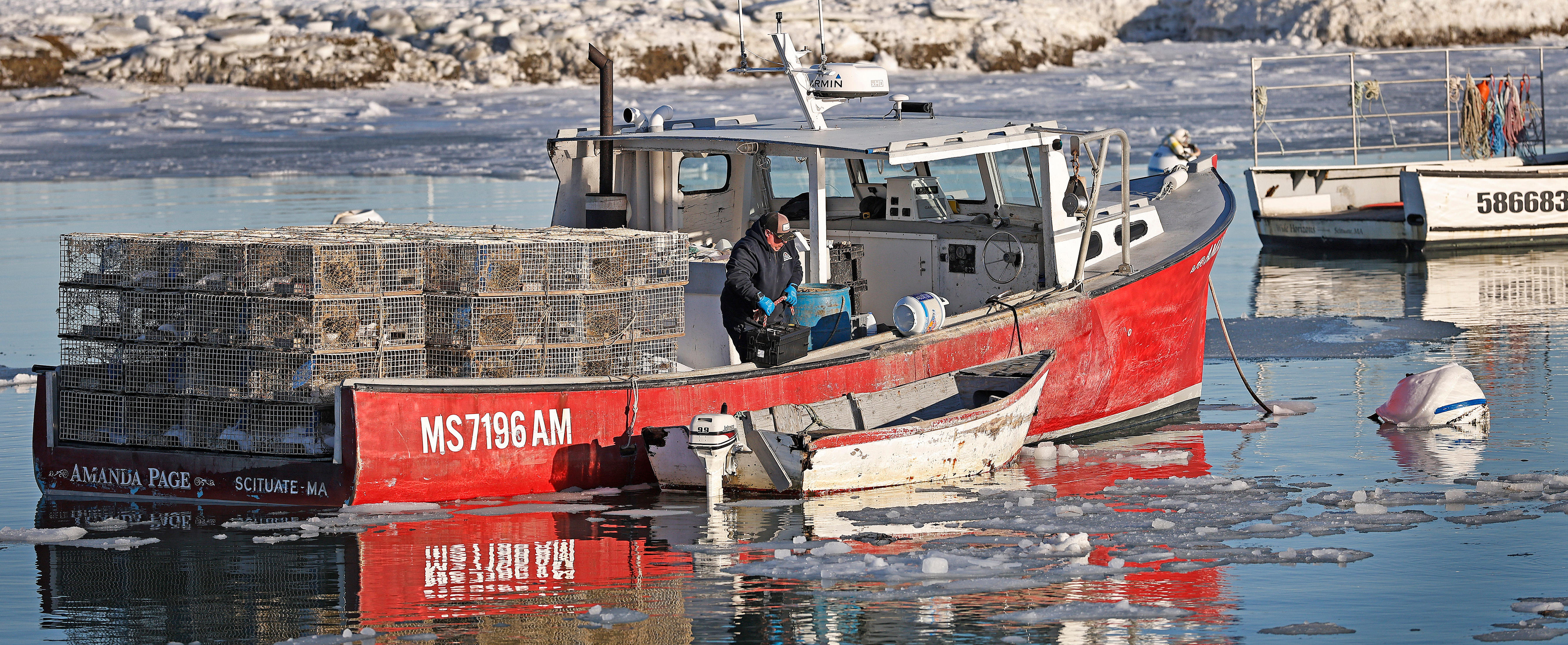 MA lawmakers want the lobster to be the state's official crustacean