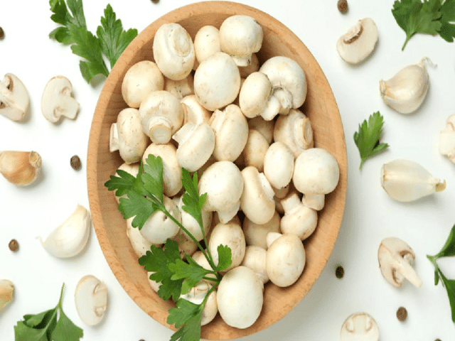 5 great benefits of eating mushrooms: from boosting immunity to helping ...