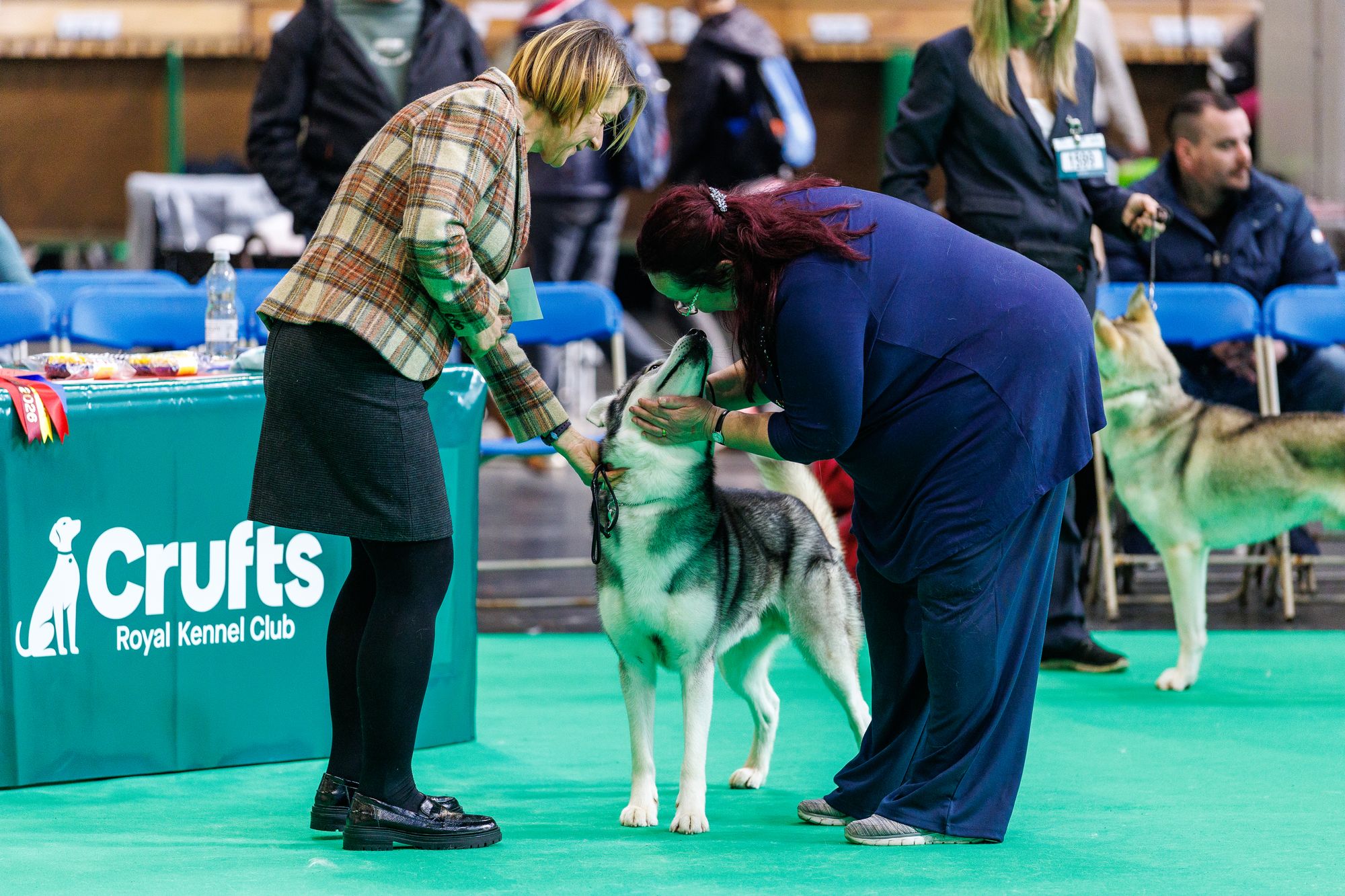 Crufts 2026 in Birmingham: 18 excellent photos from final day as Best ...