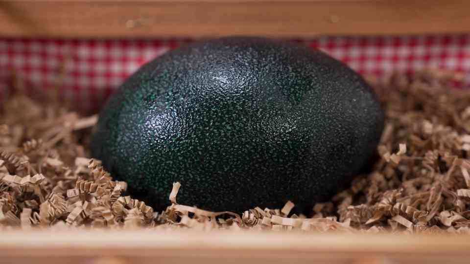 Inside the world’s rarest foods - ingredients few people ever taste