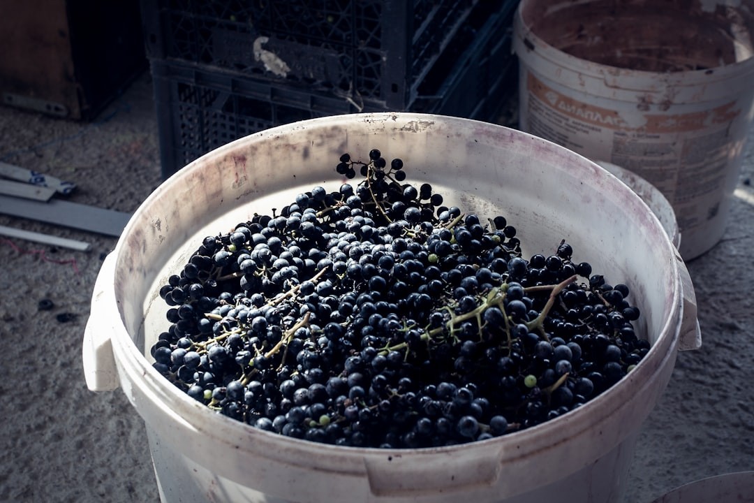 The red wine facial: Why vineyard spas are the new wellness trend