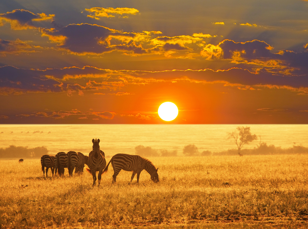 The 15 best African countries for an adventure experience