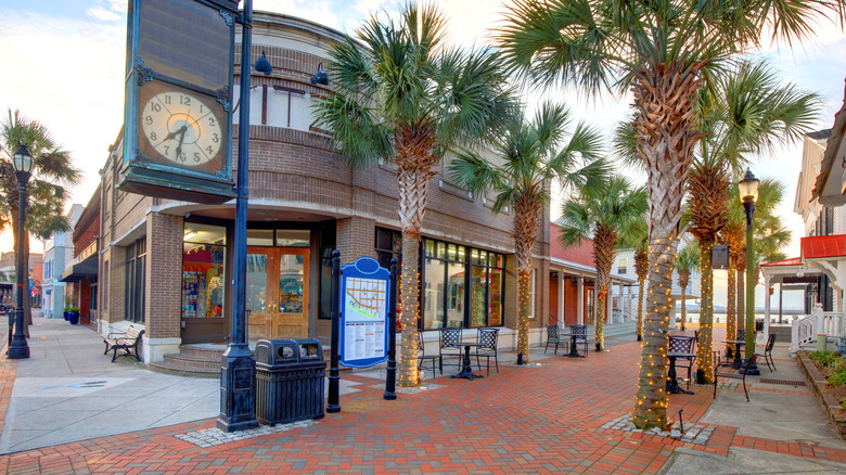 Charleston's top day trips for a quick adventure