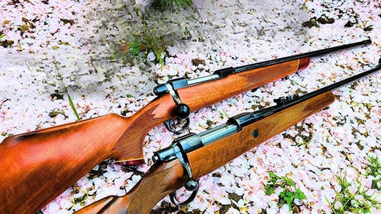 Rifles that still embarrass newer guns