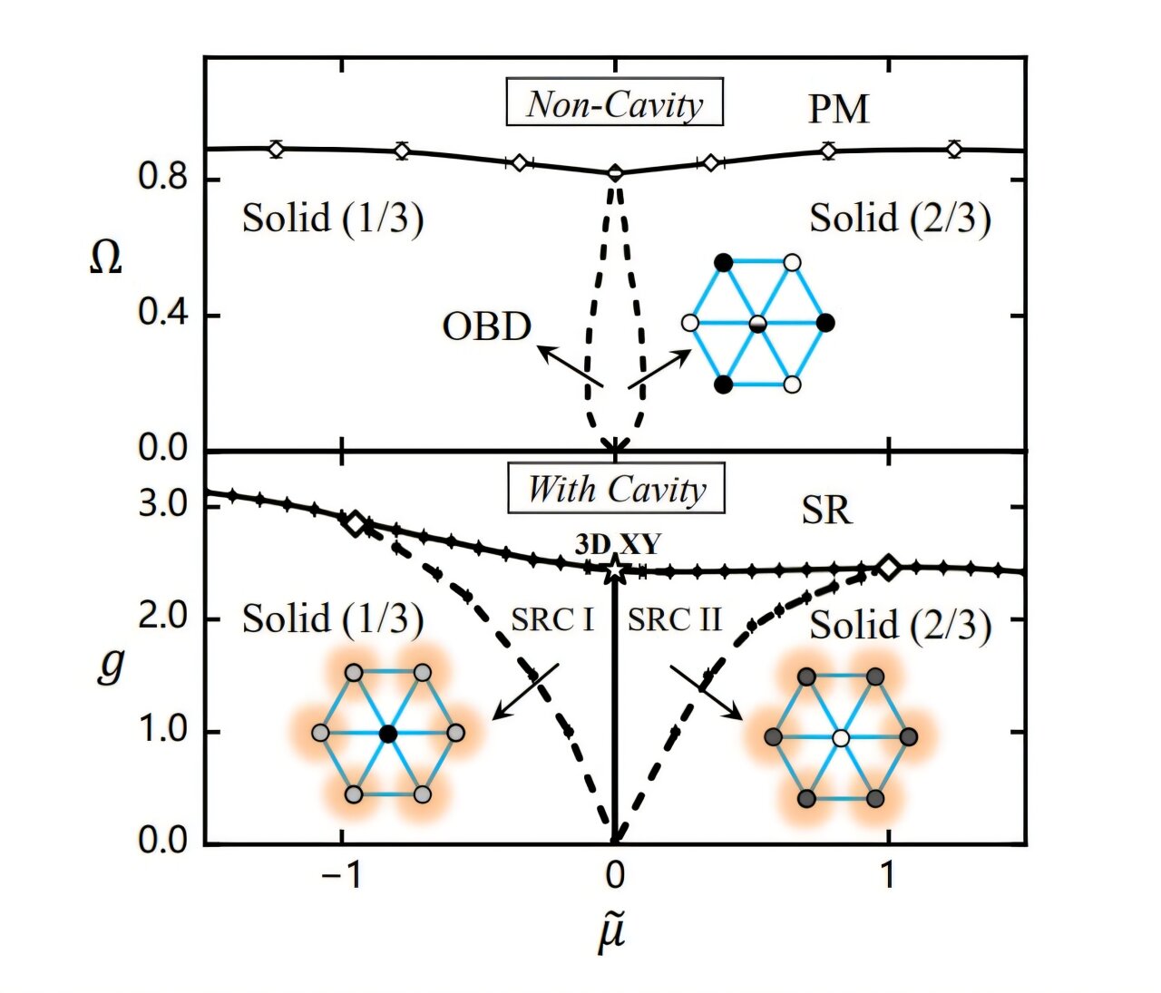 A superradiant clock phase emerges when Rydberg atoms meet quantum ...