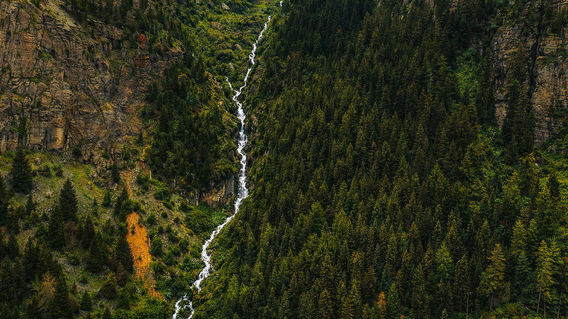 A hidden mountain waterfall flowing through a dense forest